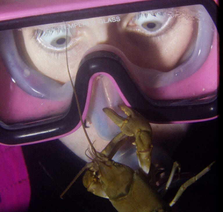 I Speak for the Fish: Facing the wrath of a crayfish - Great Lakes Now