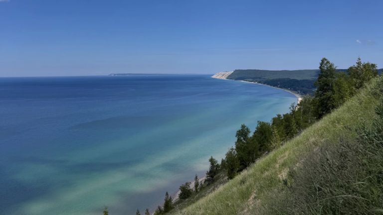 New study traces PFAS in Great Lakes food webs over 40 years - Great ...